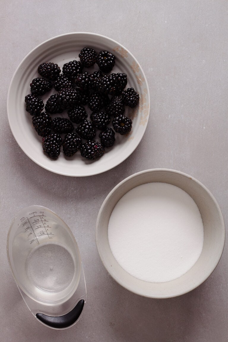 Blackberry Simple Syrup - The Real Recipes